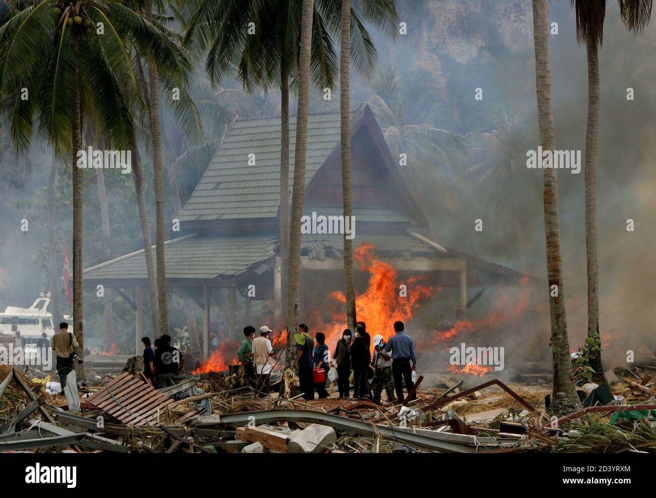 Scale rose disease hi-res stock photography and images - Alamy