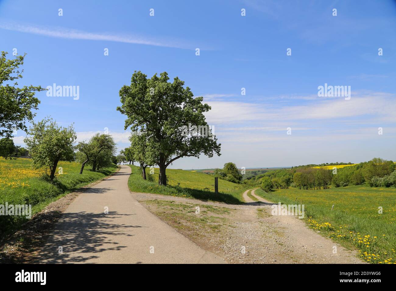 Two roads fork hi-res stock photography and images - Alamy