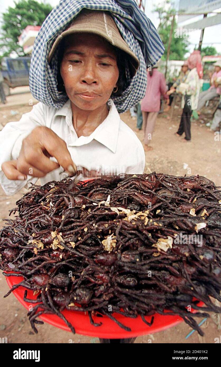 Furry insects hi-res stock photography and images - Alamy