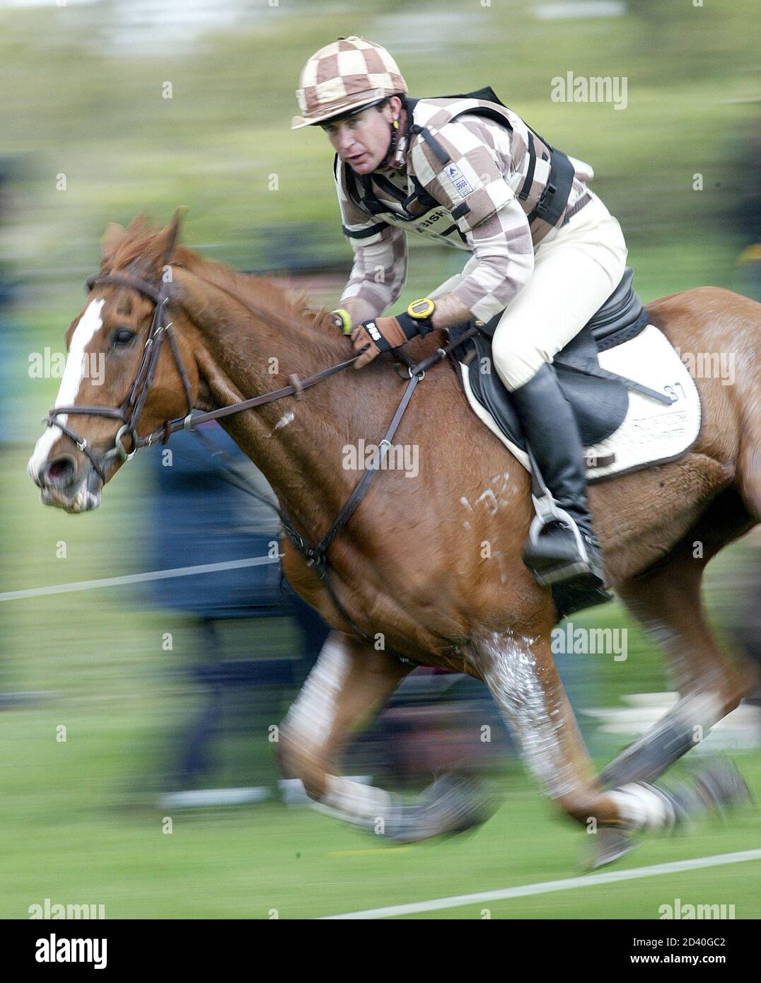 Matt ryan horse hi-res stock photography and images - Alamy
