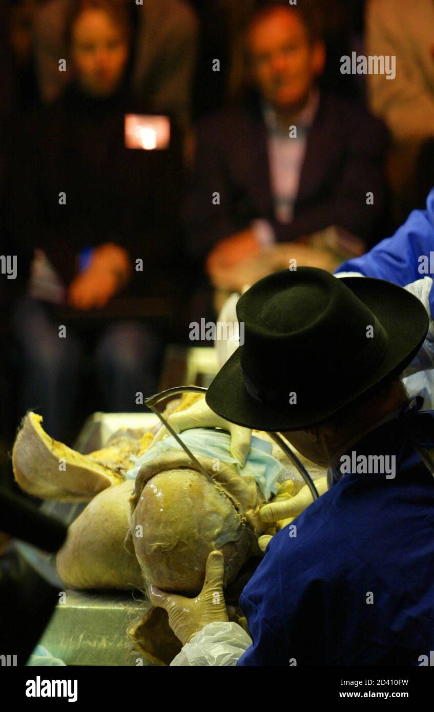 The german professor gunther von hagens hi-res stock photography and ...