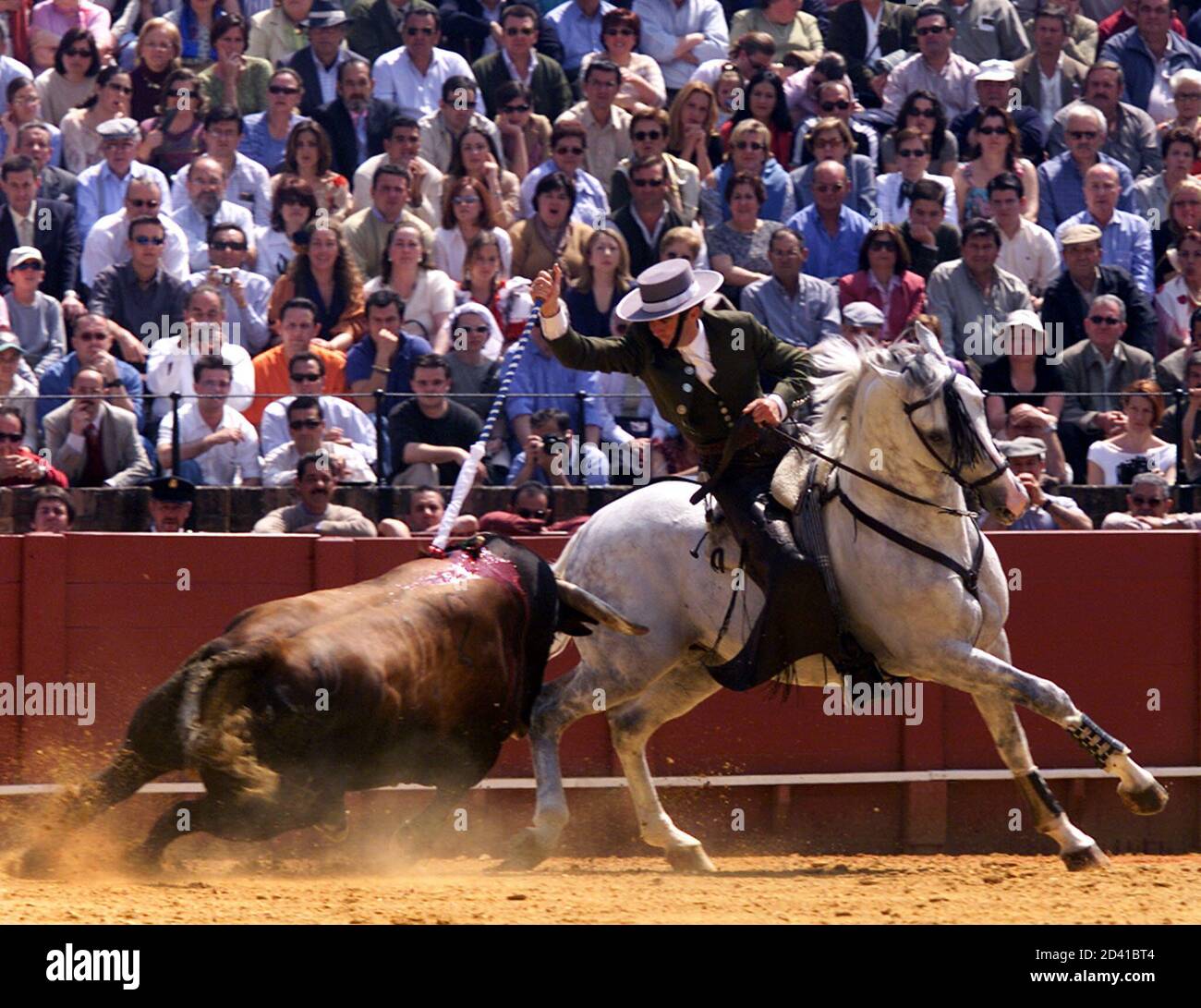 Banderilla bulls hi-res stock photography and images - Alamy