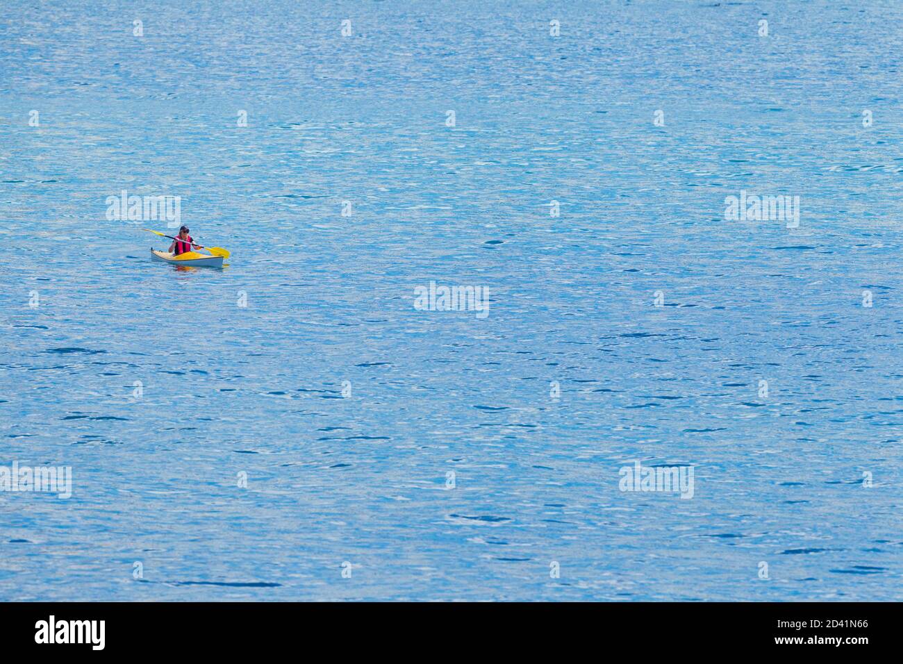 Kayaking on Sydney Harbour in Australia Stock Photo - Alamy