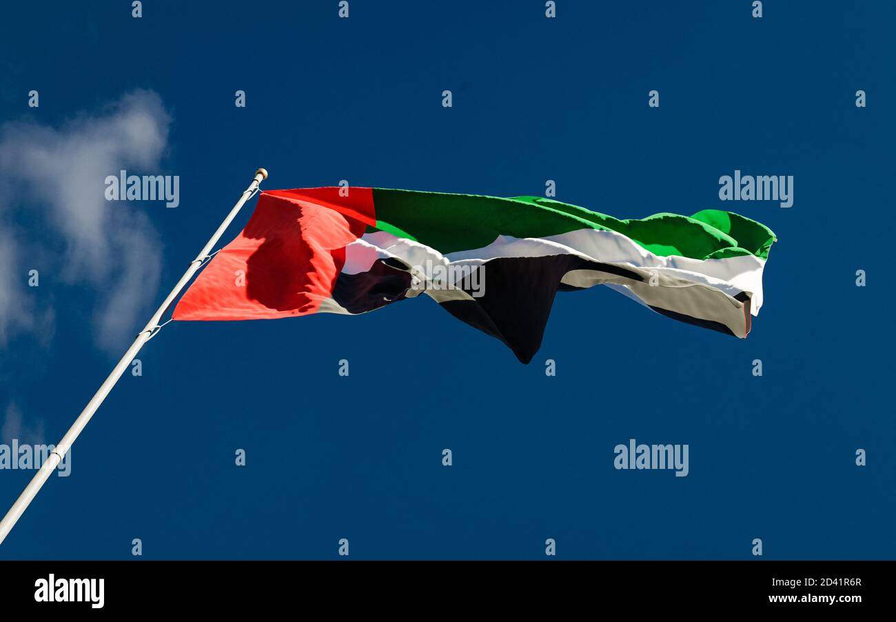UAE national flag waving in the wind against blue sky background low ...