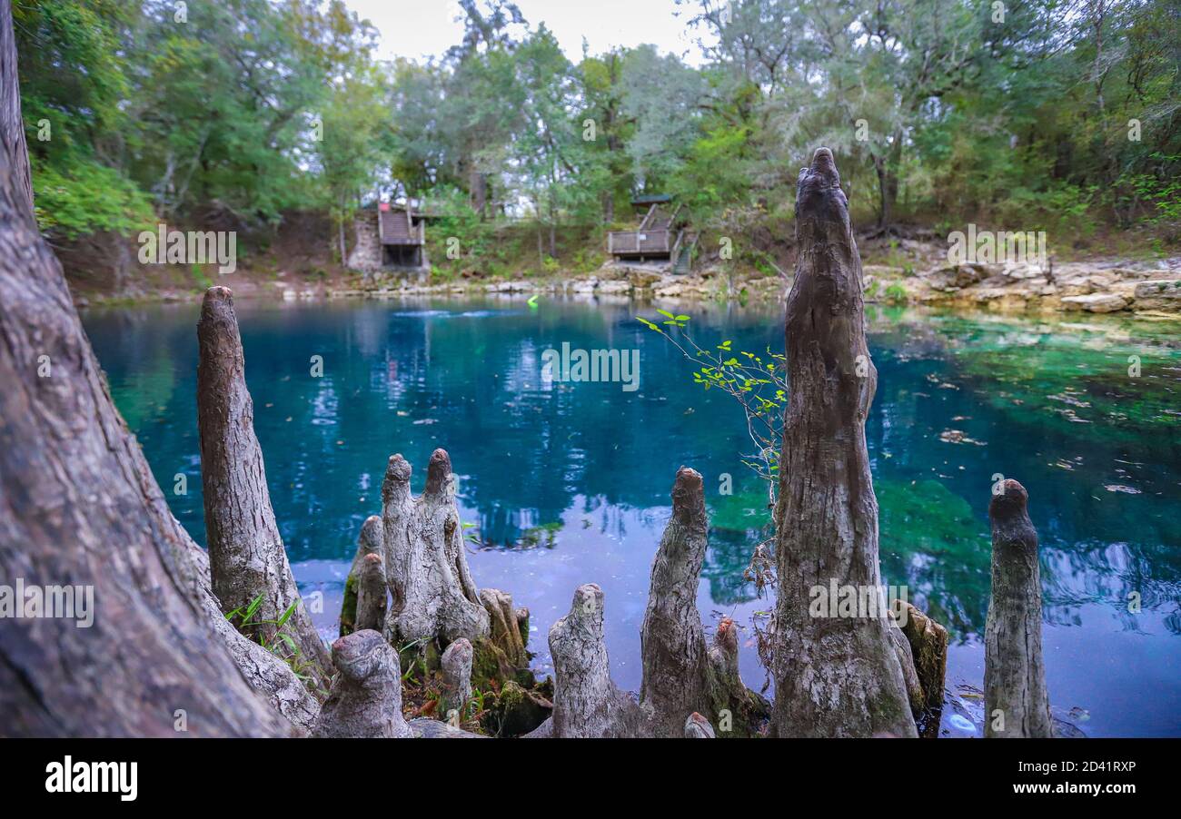 Blue Hole Spring Florida