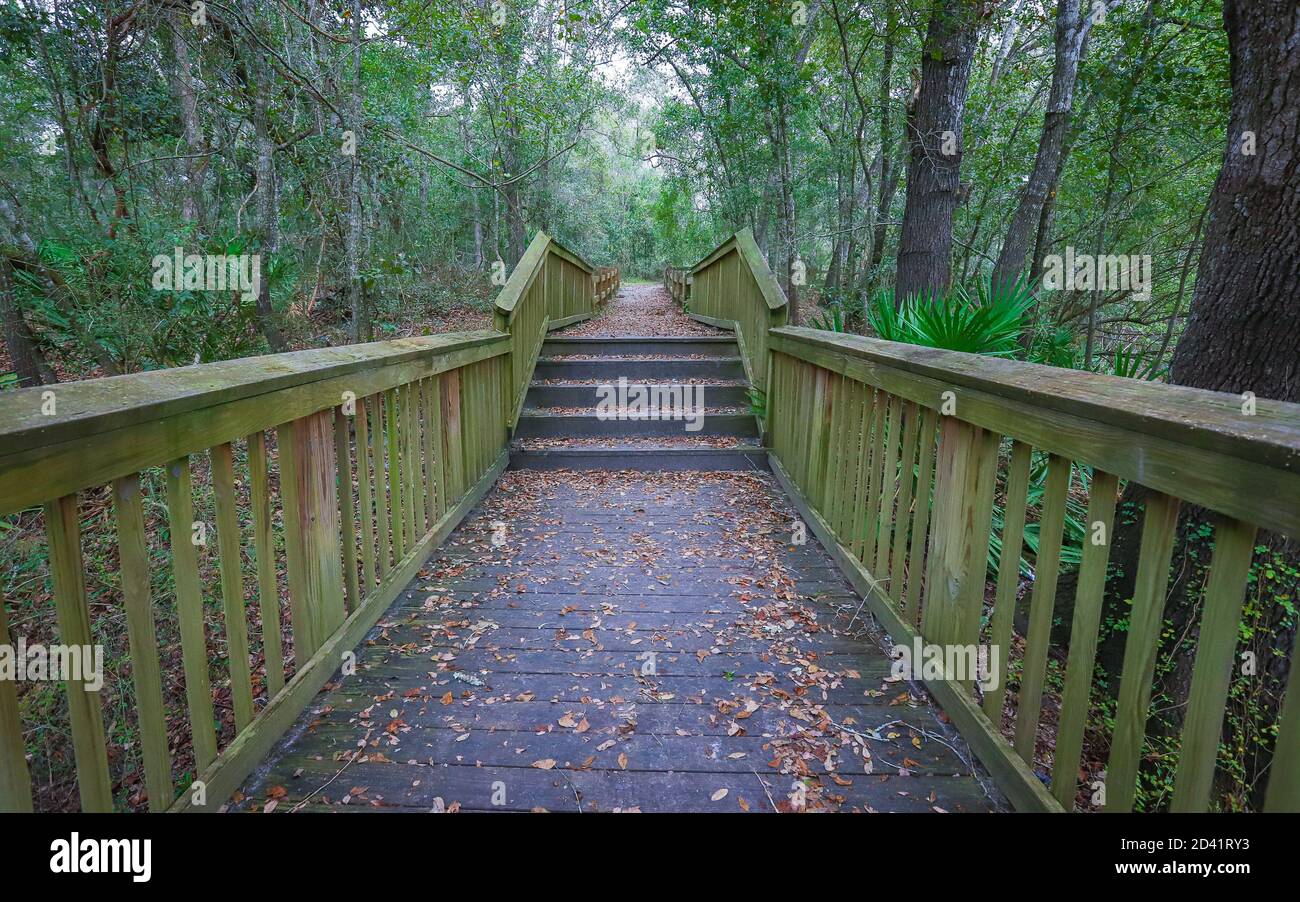 Ascending ascension hi-res stock photography and images - Alamy