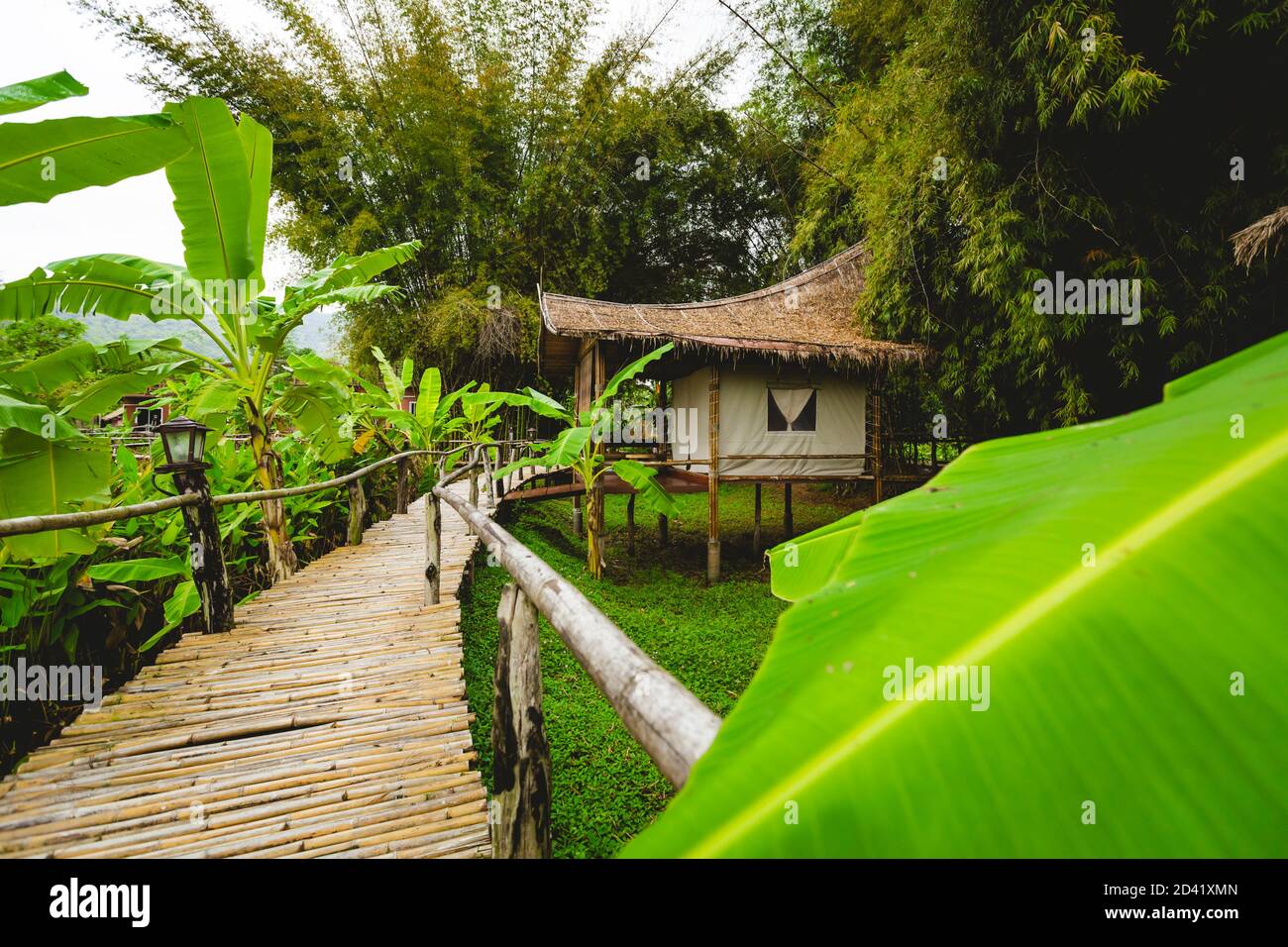 Bamboo resort hi-res stock photography and images - Alamy