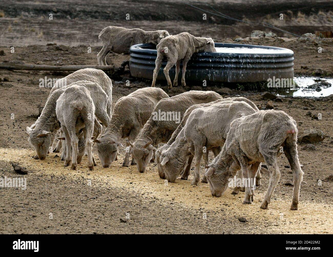 Hydrological drought hi-res stock photography and images - Alamy