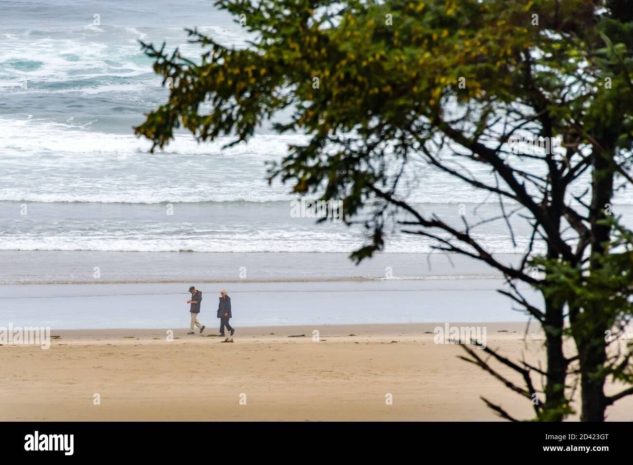 Oregon, Coast near Seal Rock, Walking on the Beach Stock Photo - Alamy