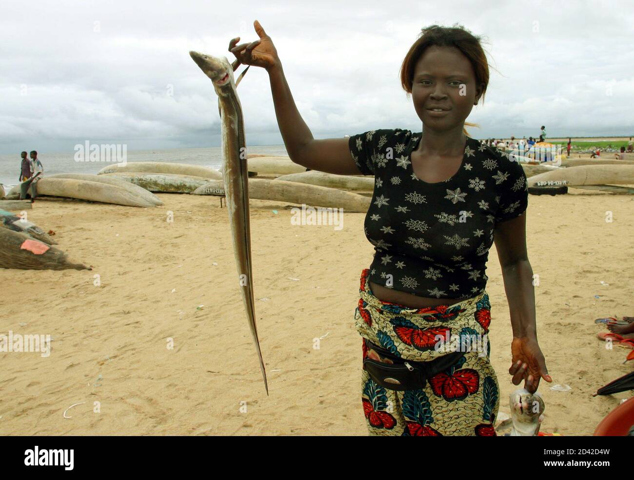 Liberia fish hi-res stock photography and images - Alamy