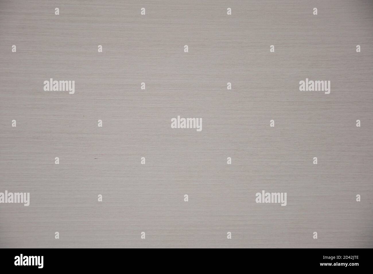 Bleached oak, polished natural wood surface with fine line pattern ...