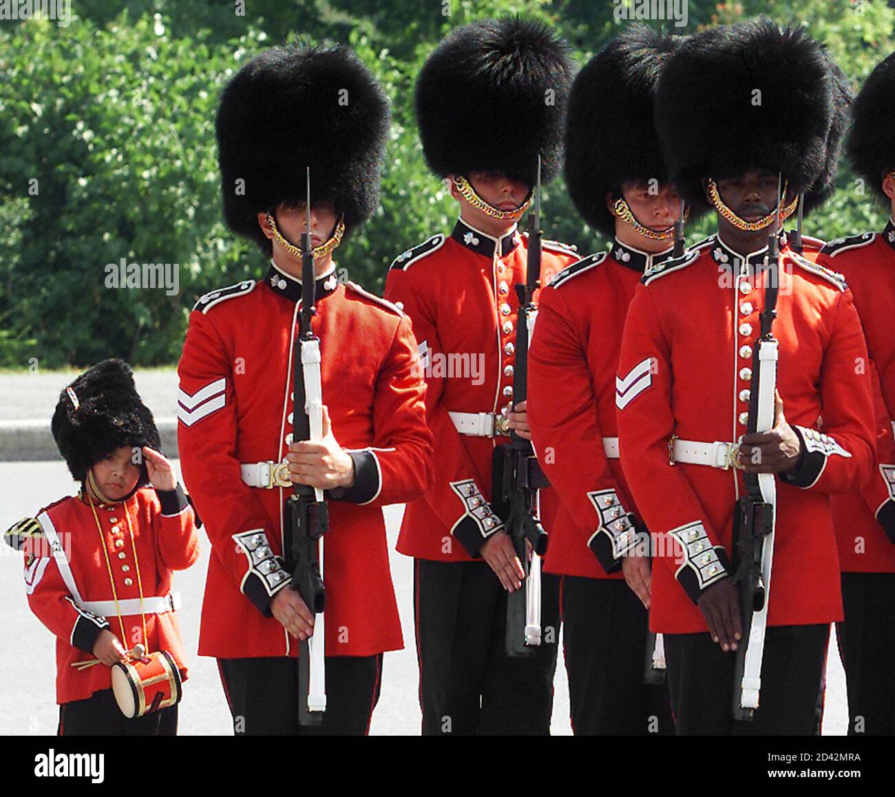 Canadian grenadier guard hi-res stock photography and images - Alamy