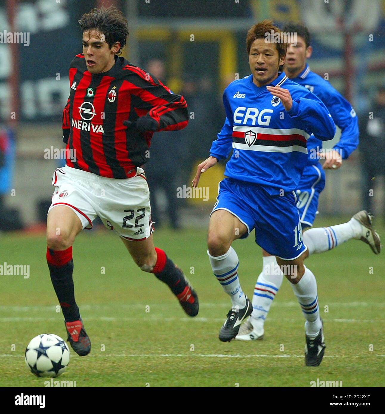 Brazilian kaka hi-res stock photography and images - Alamy