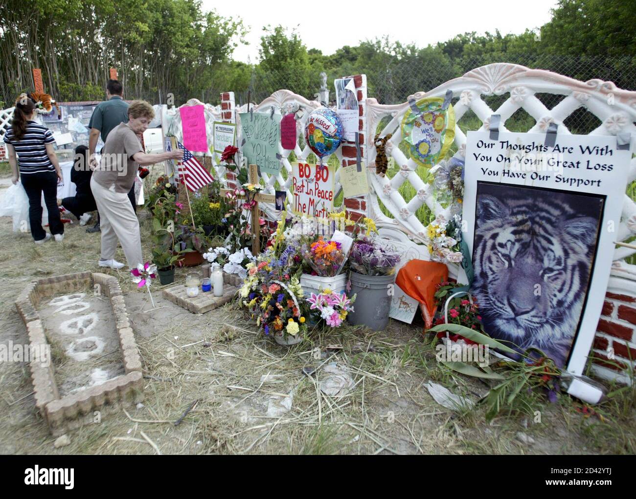 Steve hawkes hi-res stock photography and images - Alamy