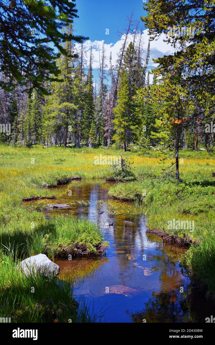 Lake Cuberant hiking trail views of ponds, forest and meadows around ...
