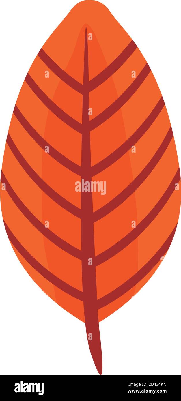 Lanceolate leaf shape Stock Vector Images - Alamy