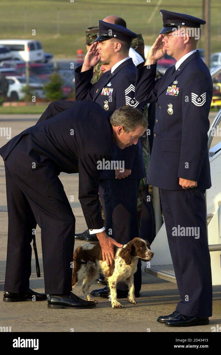 Robert gray hi-res stock photography and images - Alamy