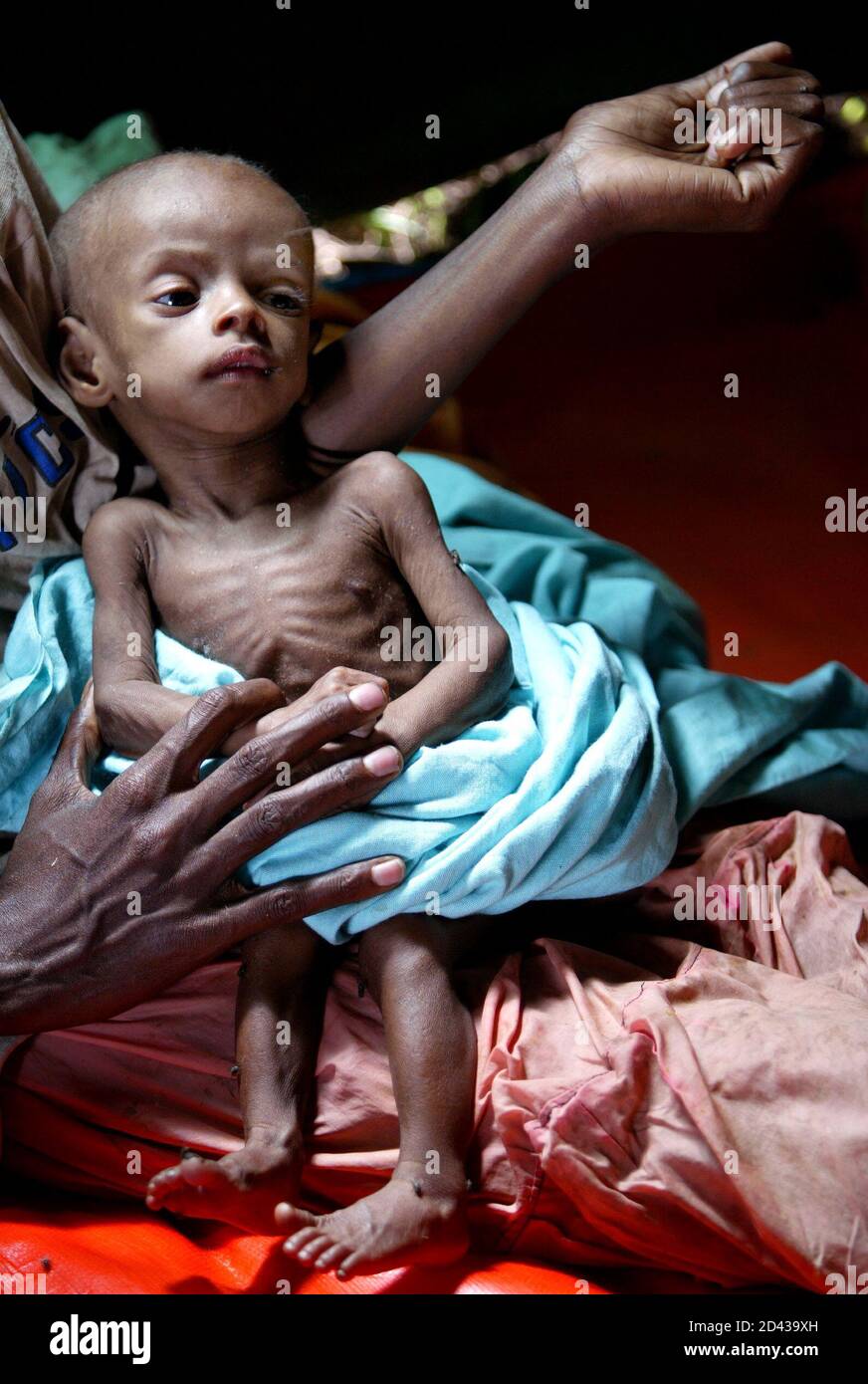 Lies starving hi-res stock photography and images - Alamy