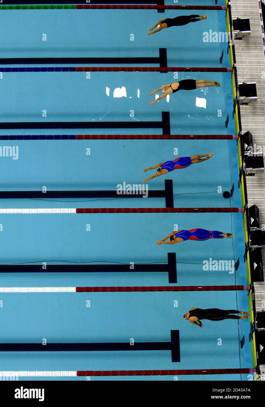 100 metre butterfly hi-res stock photography and images - Alamy