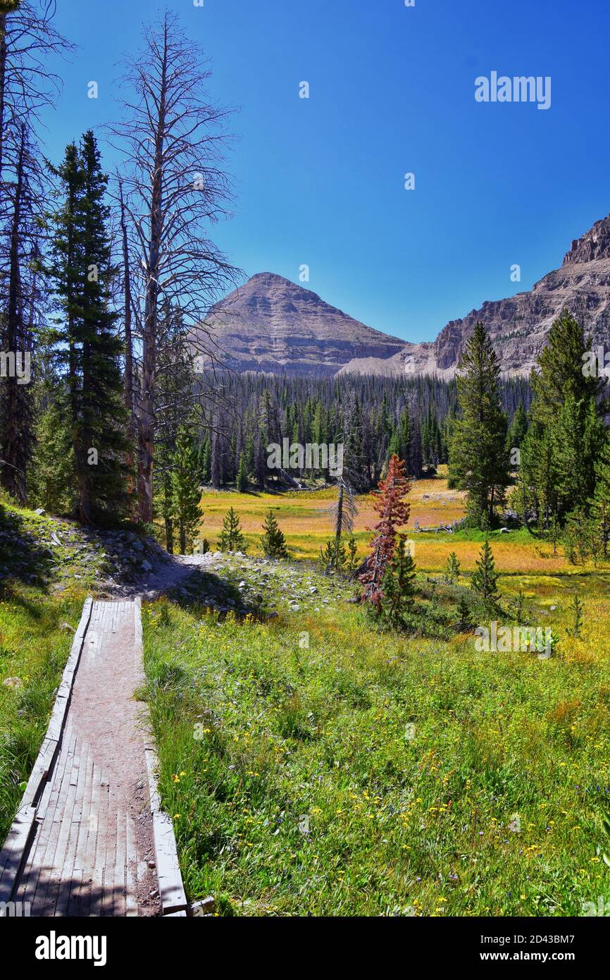 Lake Cuberant hiking trail views of ponds, forest and meadows around ...