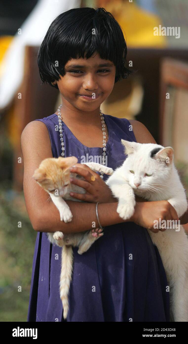 South india cats city hi-res stock photography and images - Alamy