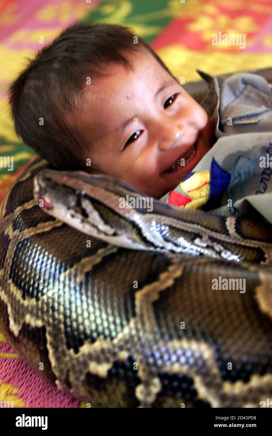 Dragon python hi-res stock photography and images - Alamy