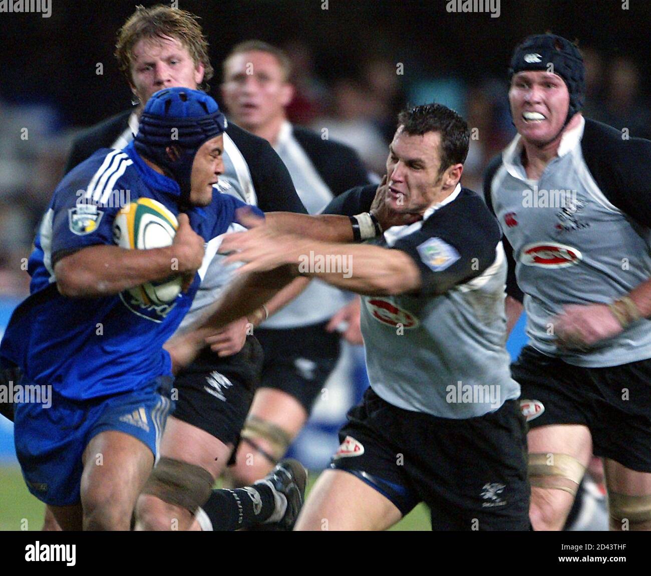 Beat the winter blues hi-res stock photography and images - Alamy