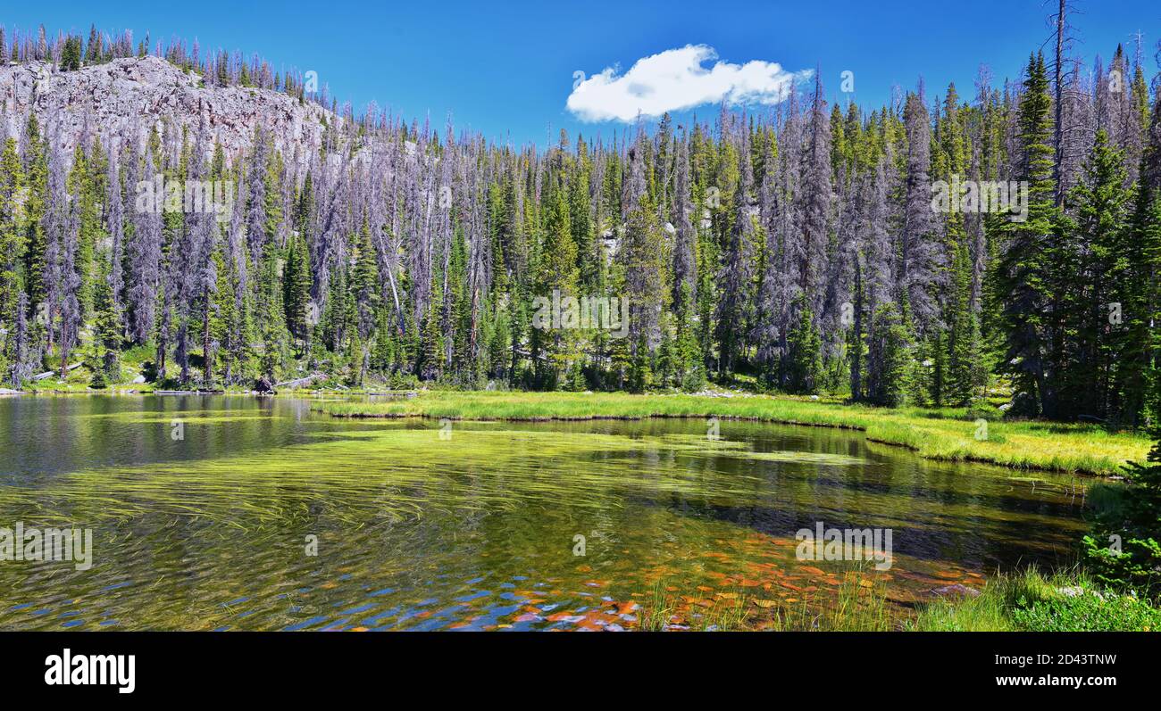 Lake Cuberant hiking trail views of ponds, forest and meadows around ...
