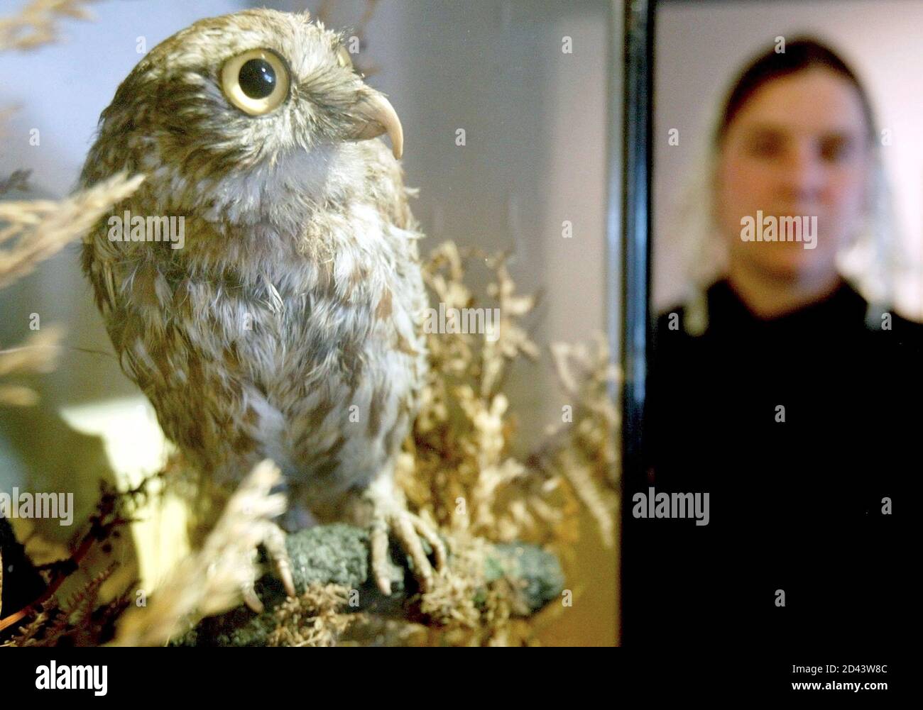 The florence nightingale museum hi-res stock photography and images - Alamy