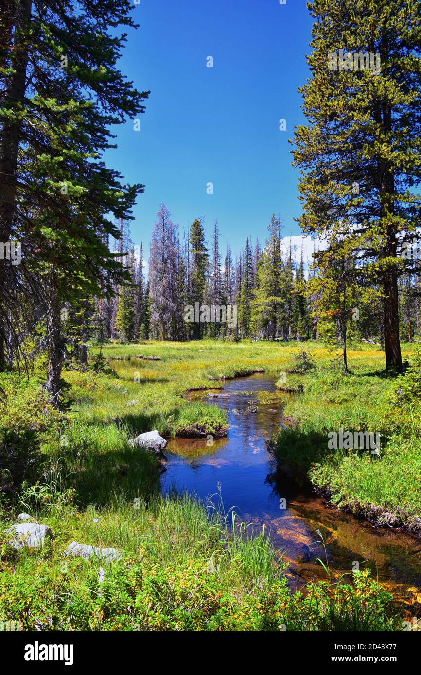 Lake Cuberant hiking trail views of ponds, forest and meadows around ...
