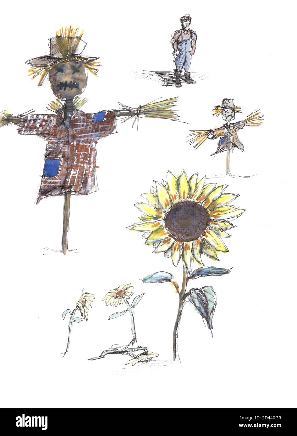 Sunflower scarecrow hi-res stock photography and images - Alamy