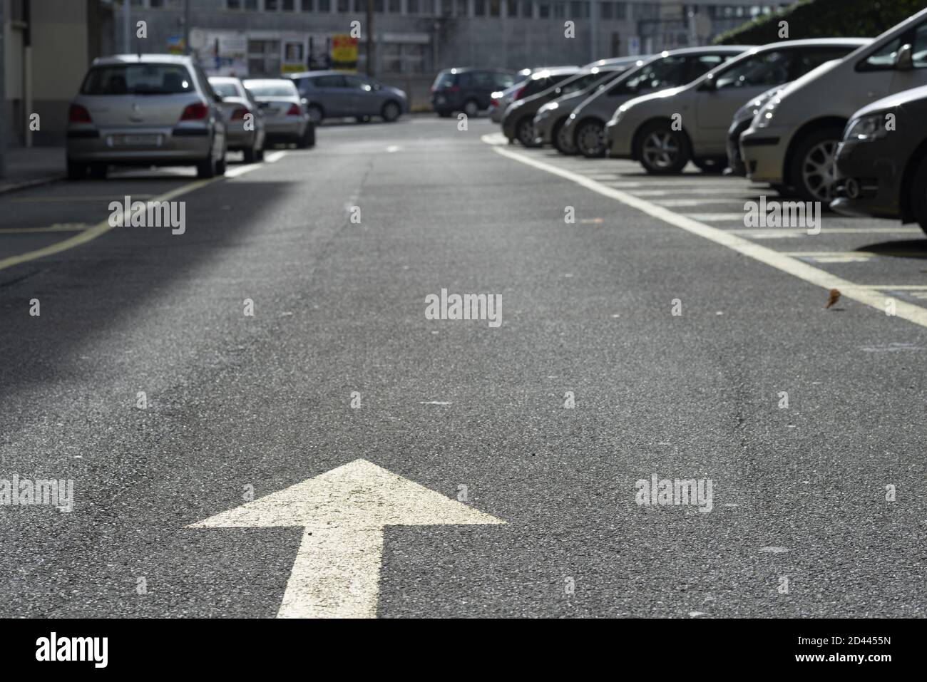 Arrow road sign (marking on the ground) with big negative space within ...
