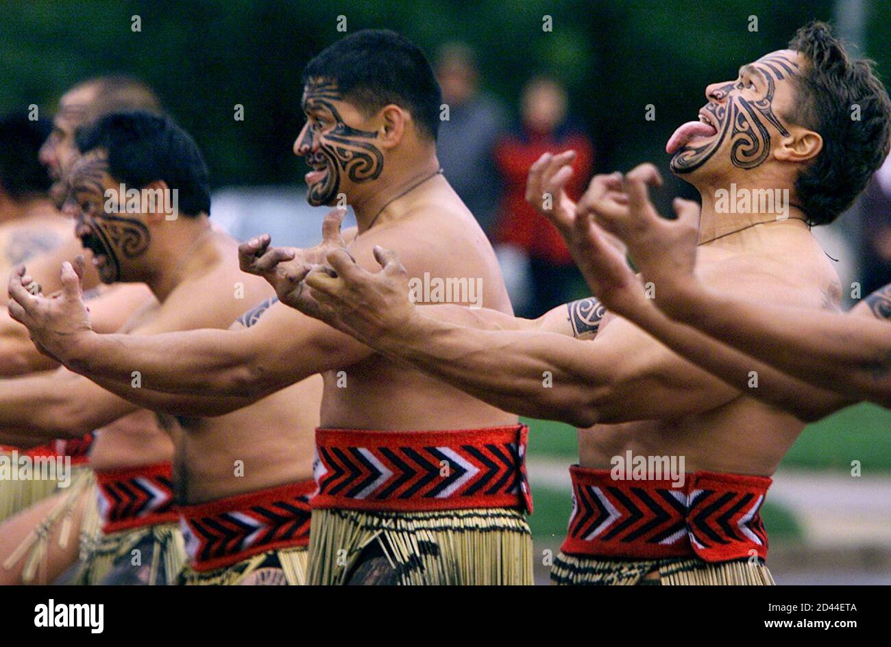 New zealand wars maori hi-res stock photography and images - Alamy