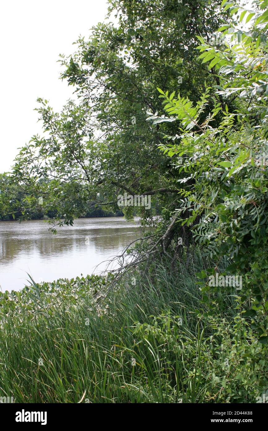 Christina river hi-res stock photography and images - Alamy