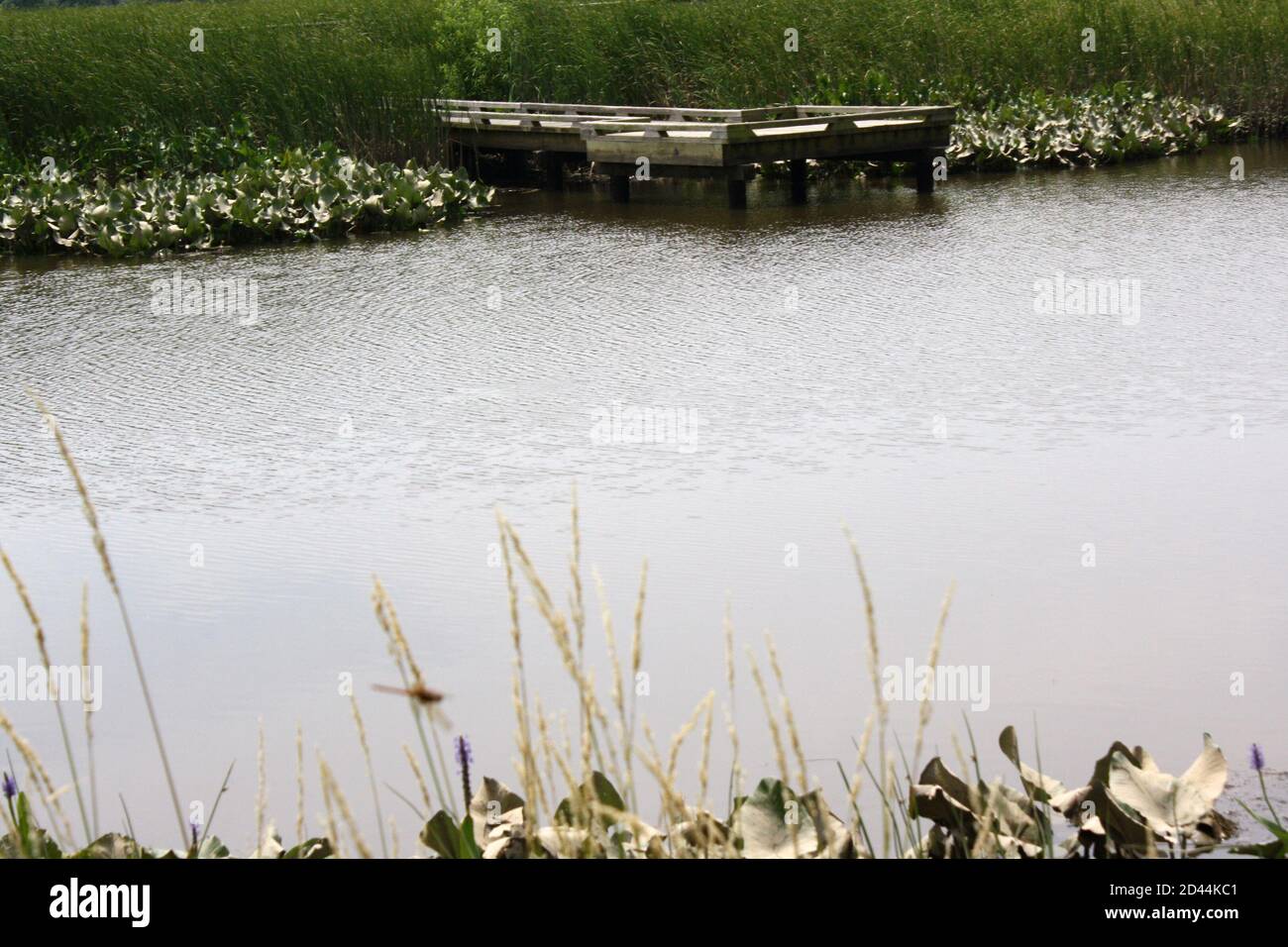 Tranquil pathway hi-res stock photography and images - Alamy