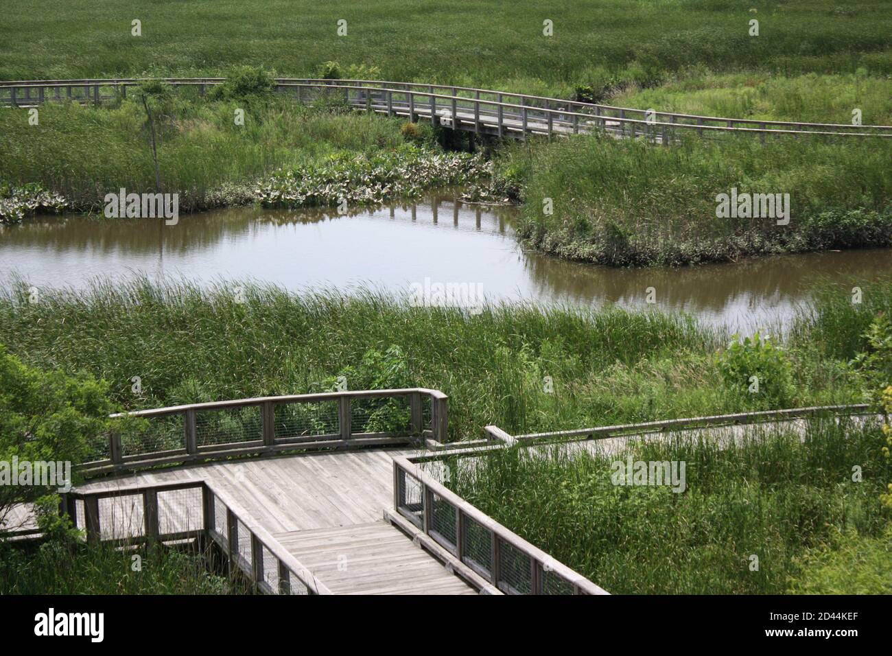 Landscape of a freshwater marsh and an empty walkway at the Russell W ...