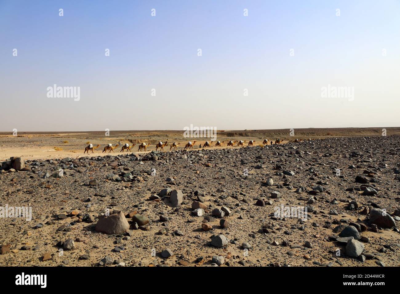 Berhale High Resolution Stock Photography and Images - Alamy