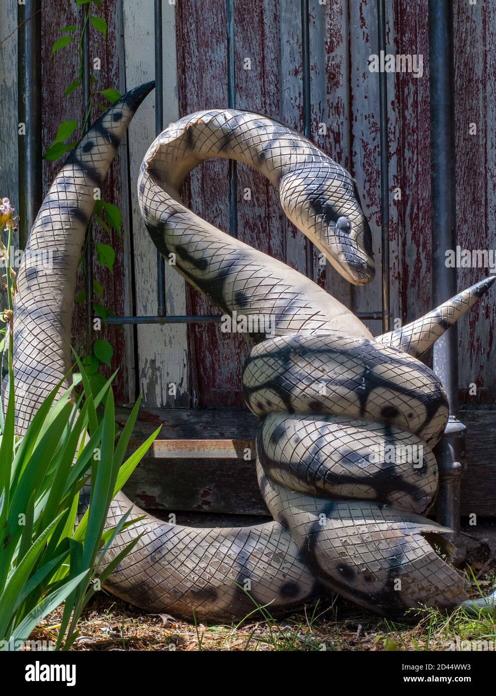 Coiled Snake Strike