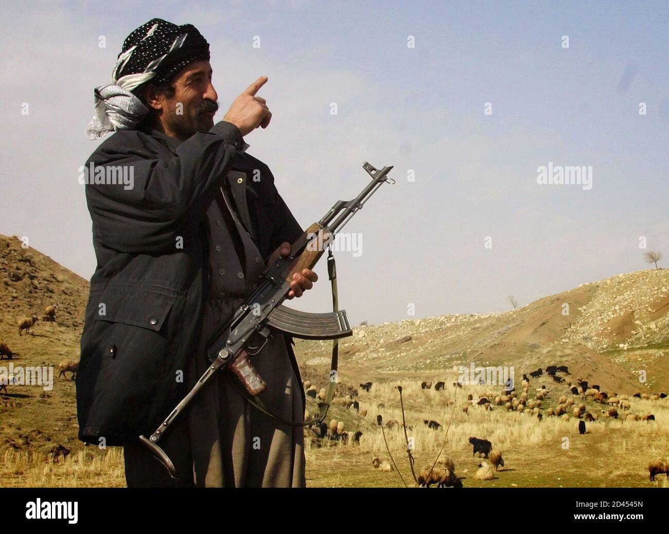 Sheep in the hills hi-res stock photography and images - Alamy