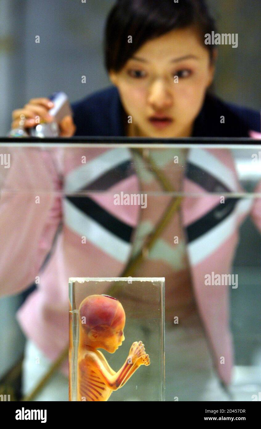 Plasticised hi-res stock photography and images - Alamy