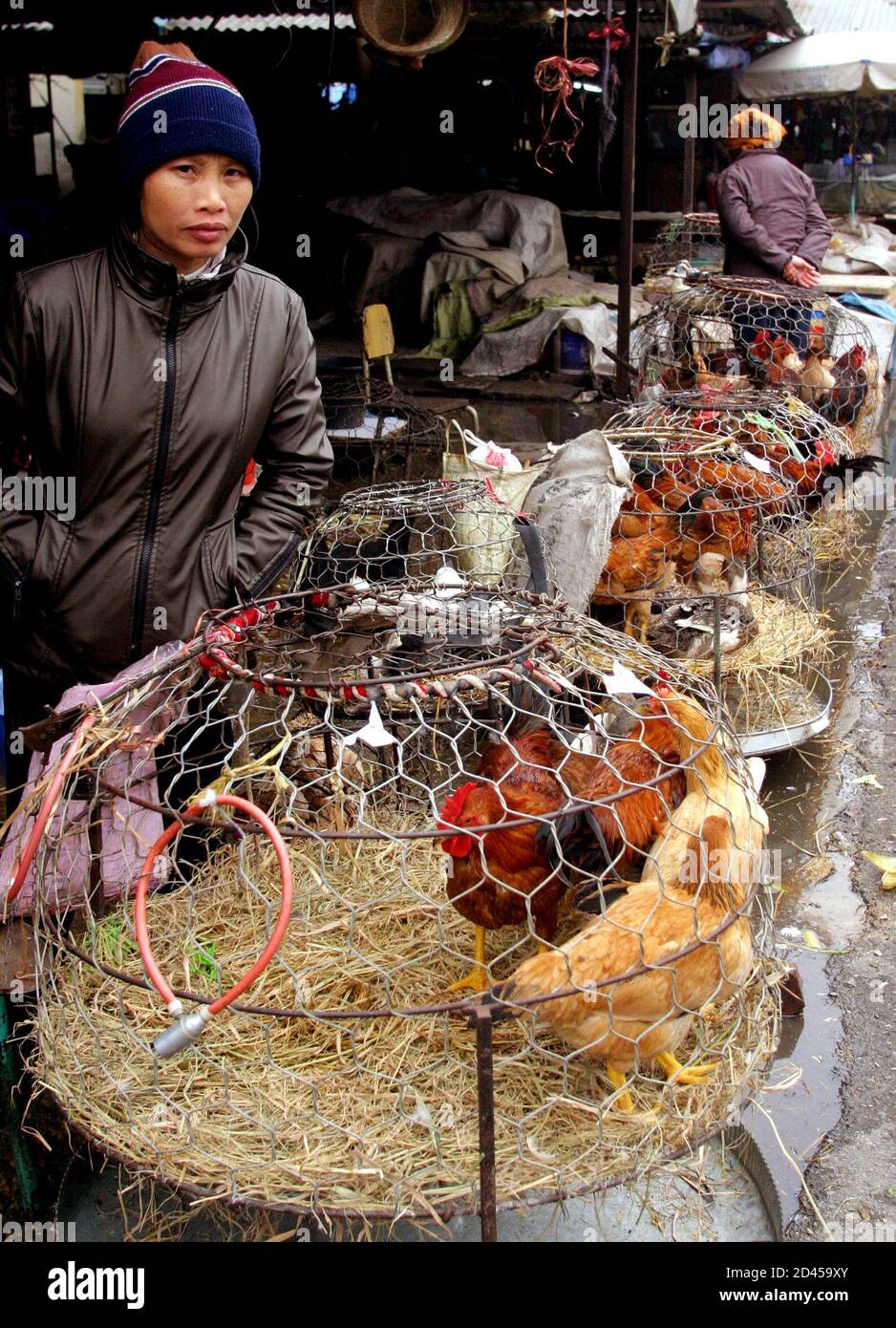 Vietnam bird cages hi-res stock photography and images - Alamy