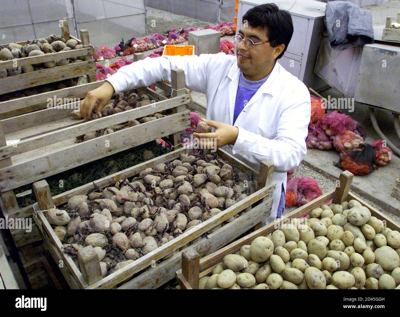 Potato center peru hi-res stock photography and images - Alamy