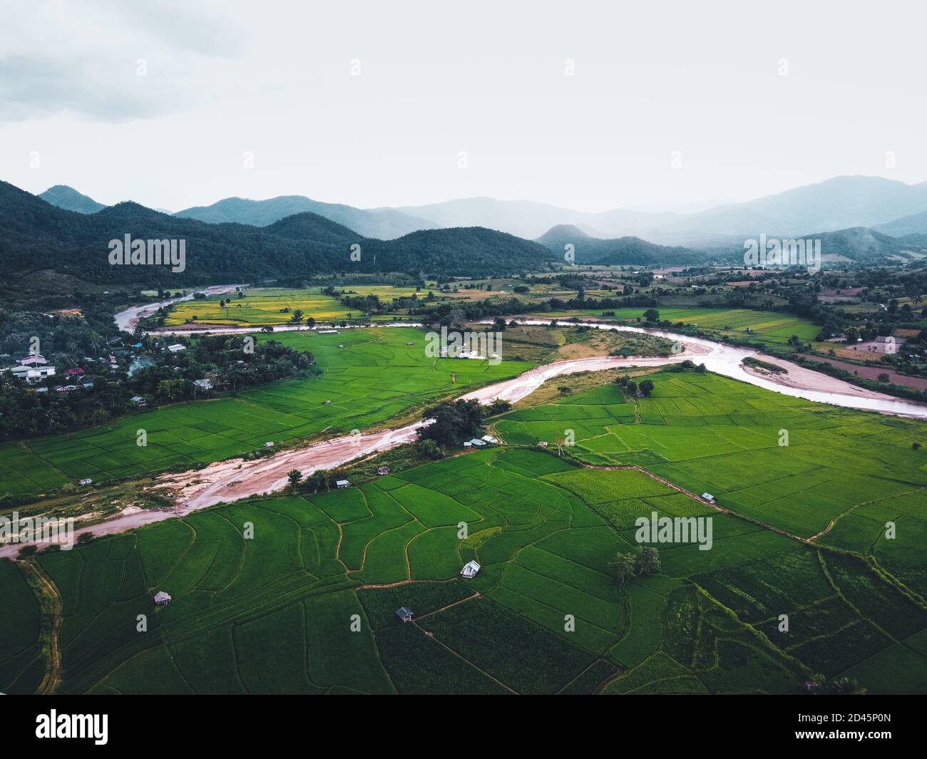 Green rice fields from above In the countryside Stock Photo - Alamy
