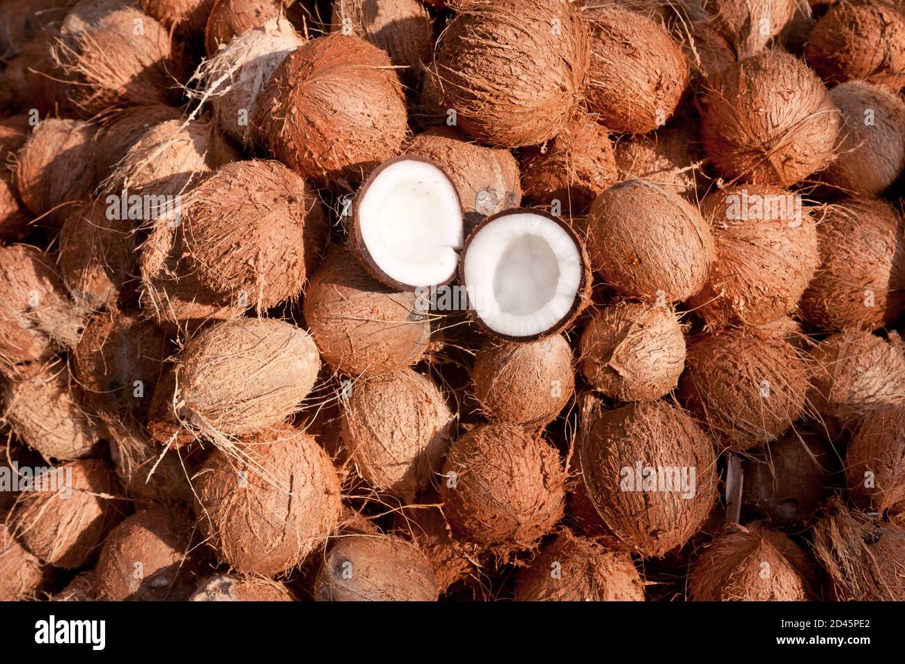 Coconuts cut in half and whole coconuts. A lot or heap of fresh tasty ...
