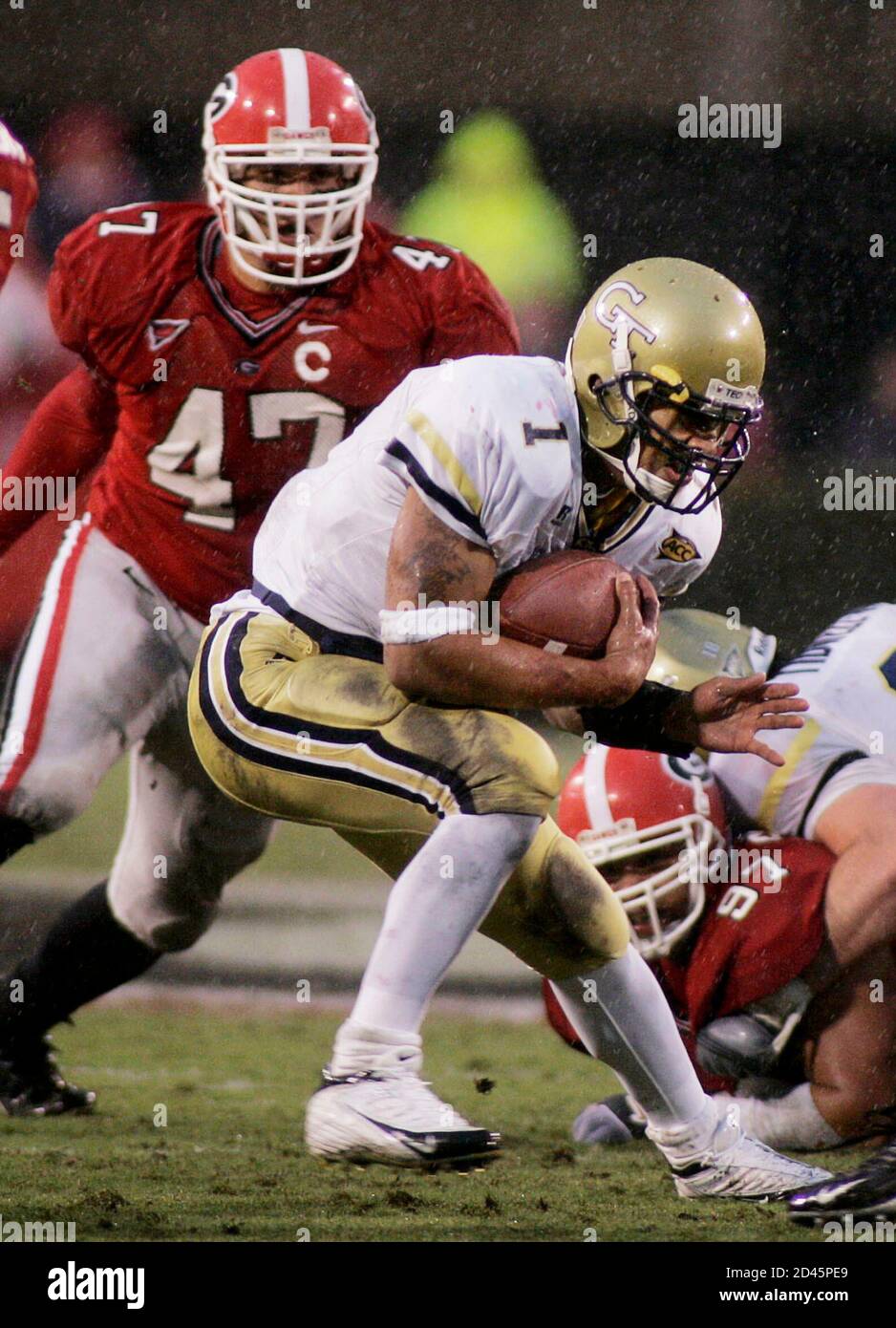 David pollack georgia hi-res stock photography and images - Alamy