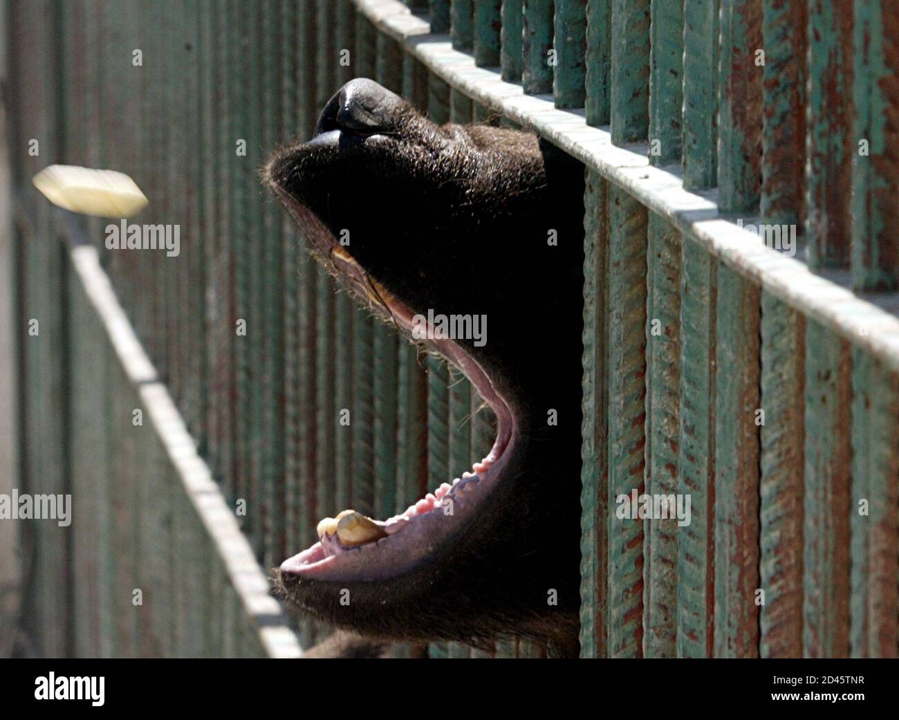 Mideast nuts hi-res stock photography and images - Alamy