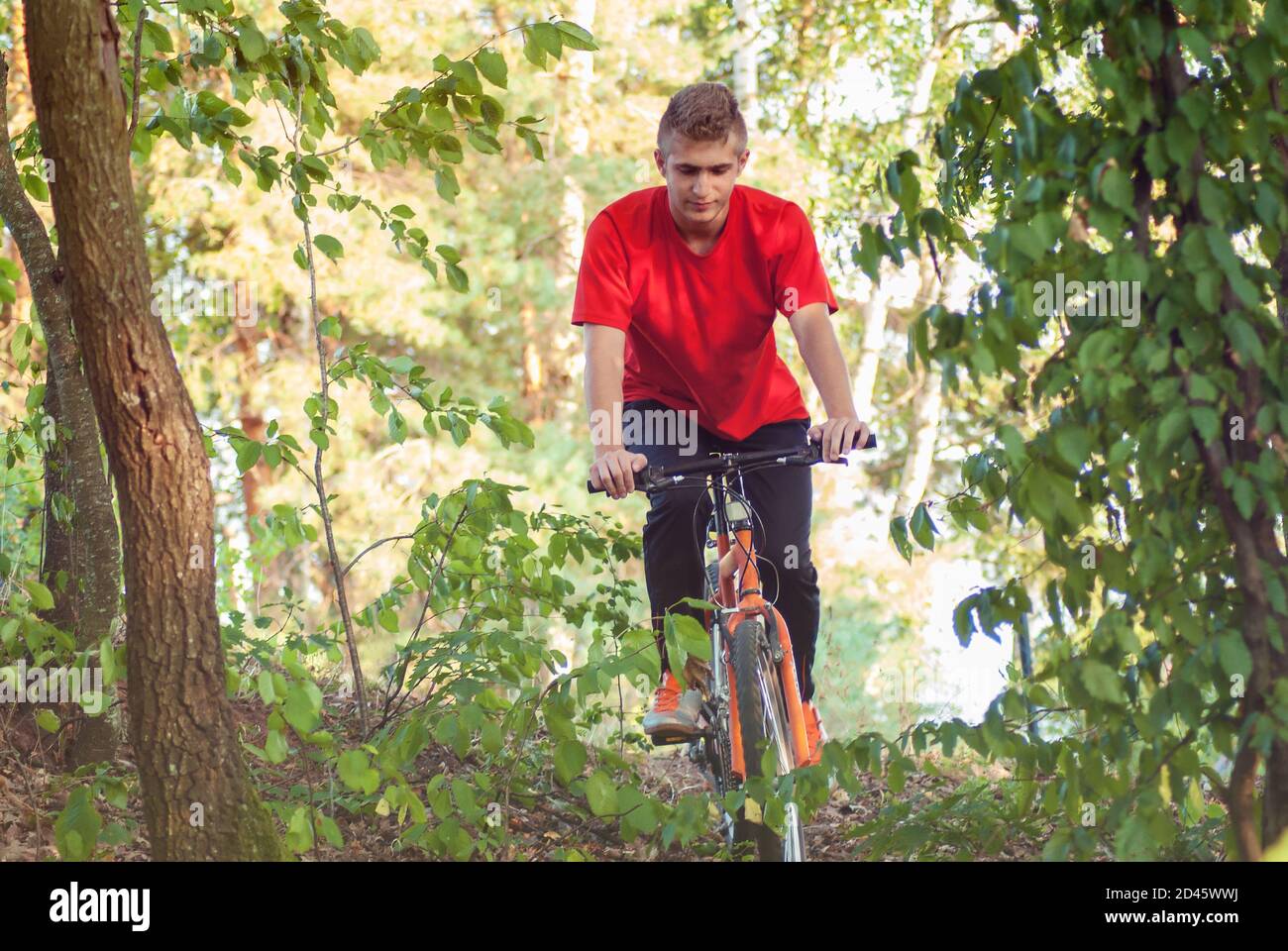Man ride bike at forest nature environment at spring summer season ...