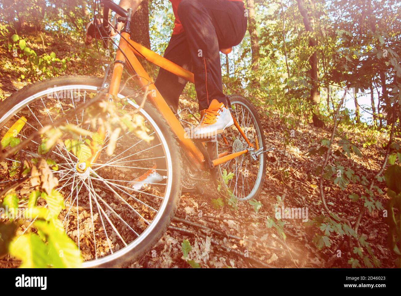 Man ride bike at forest nature environment at spring summer season Stock Photo - Alamy