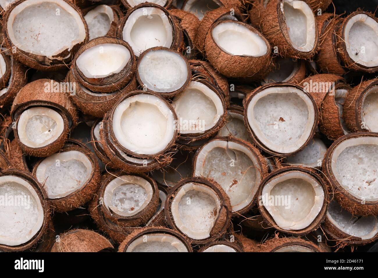 Indian coconut seed hi-res stock photography and images - Alamy