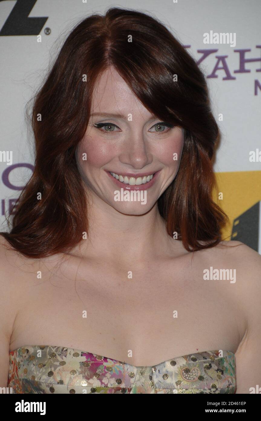 Bryce dallas howard hollywood awards gala 2010 hi-res stock photography ...